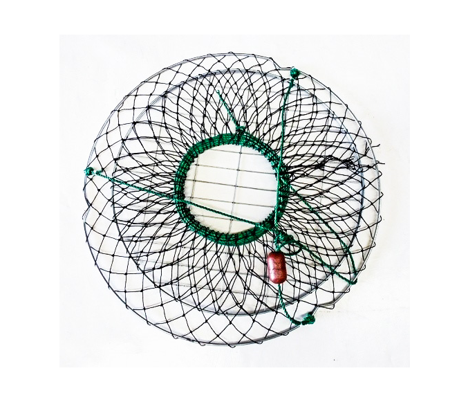 Shop Diamond Networks - 60cm Wire Mesh Bottom Marron Trap in Perth