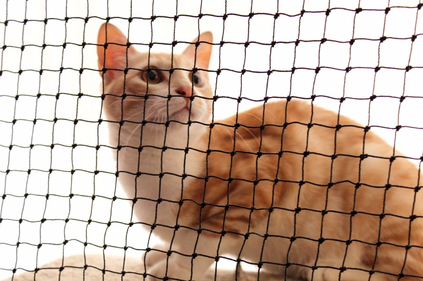 Shop Diamond Networks - Perth's Largest Range of High Quality Netting